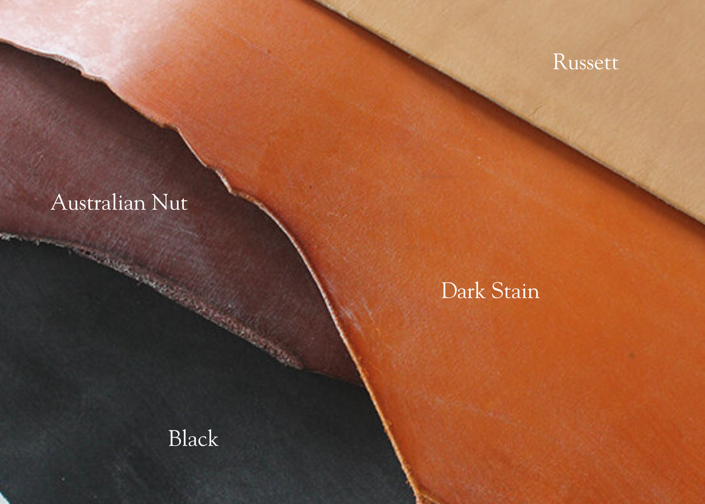 'Medusa' Belt - Black Oak Bark Tanned Leather Belt - Pewter Medusa Buc ...